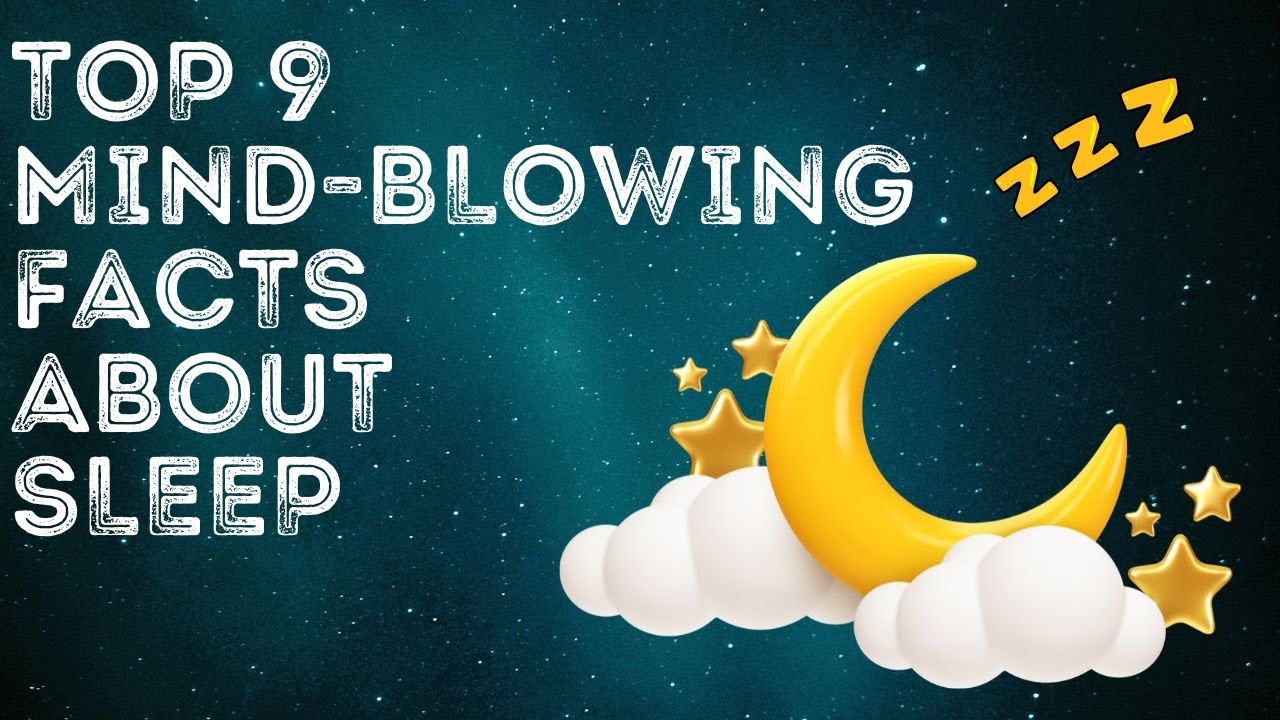 9 Shocking Sleep Facts You Won’t Believe! | Nite Sleep